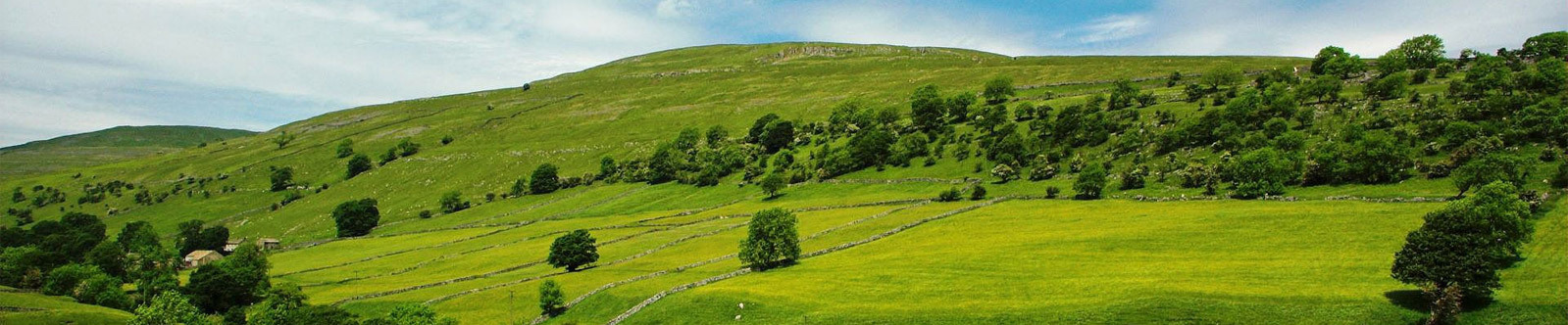 Fotobearbeitung mit Snapseed | LFI Niederösterreich