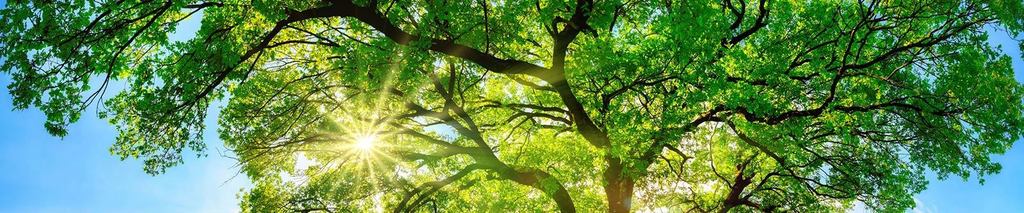 Job mit Durchblick | LFI Steiermark