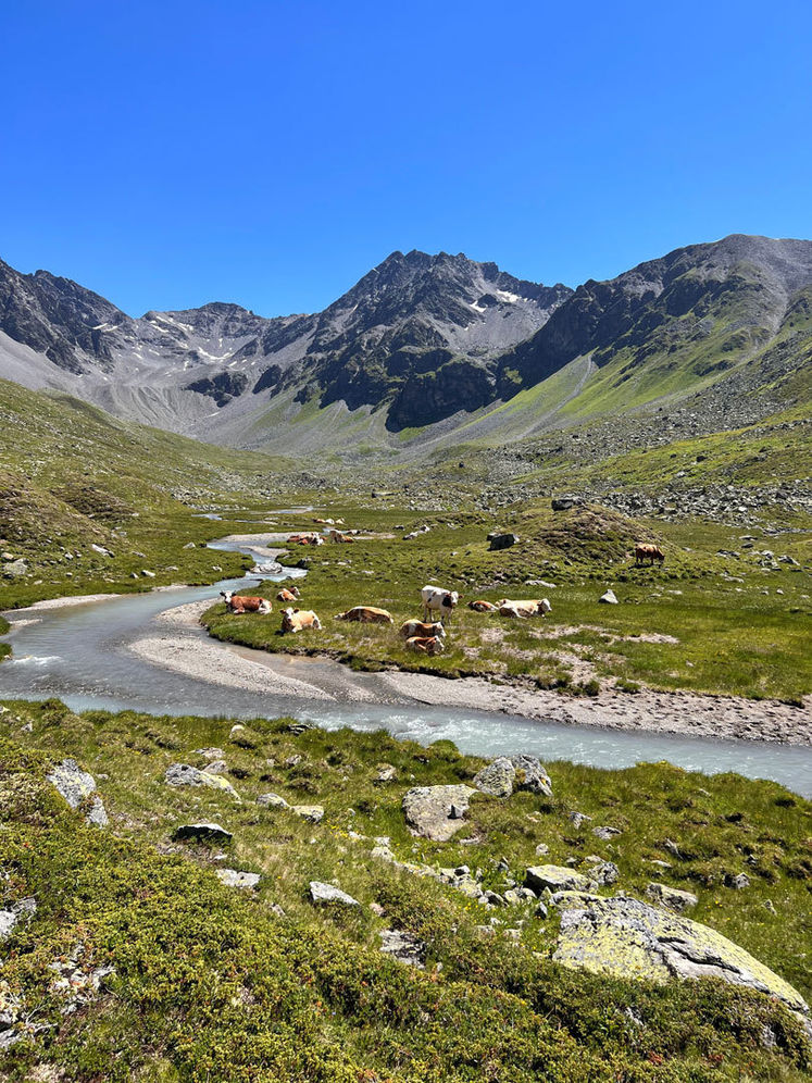 Startseite | LK Tirol