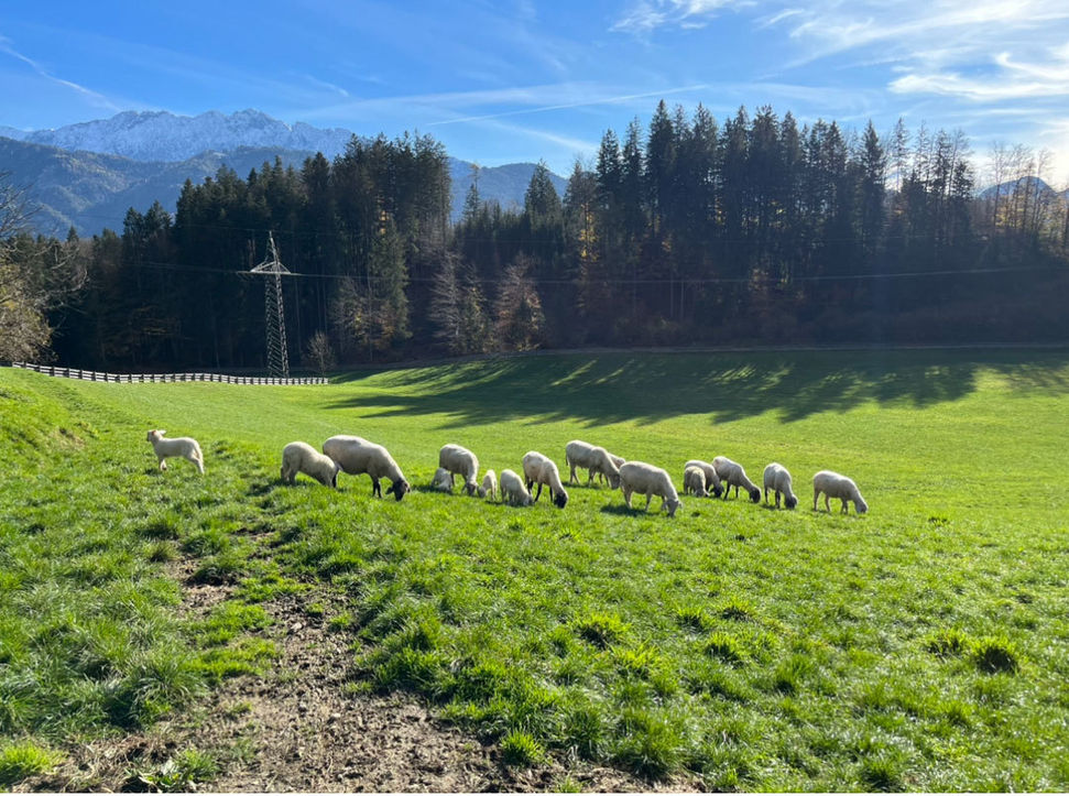 Startseite | LK Tirol