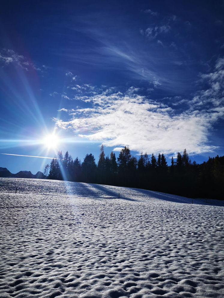 Startseite | LK Tirol