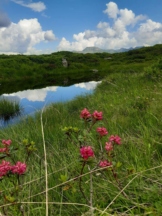 Startseite | LK Tirol