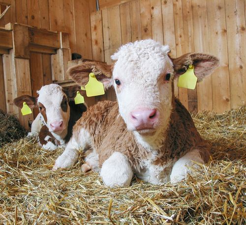 Bioausnahmen für Eingriffe laufen aus - jetzt aktiv werden ...