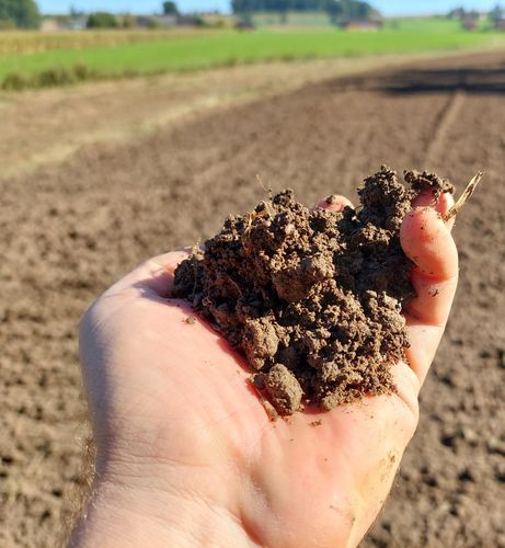 EU-Kommission will Landwirt:innen bei Düngerkosten entlasten ...