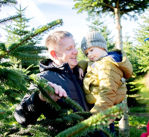 NÖ Christbaumhöfe starten in die Christbaumsaison 2025 ...