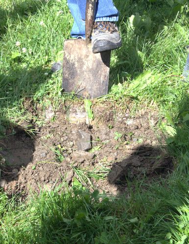 Bewässerung im Obst- und Gartenbau: Grundlagen für eine effiziente ...