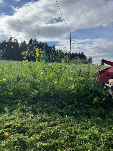Vielfalt ist der Schlüssel | Landwirtschaftskammer Österreich